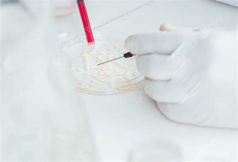 Female Scientist Researcher Conducting An Experiment In A Laboratory Female Scientist Researcher