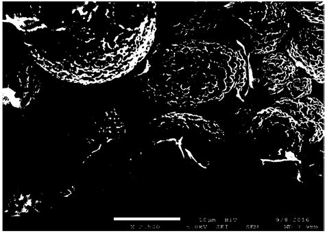 Graphene Ternary Material Compound And Preparation Method Thereof Eureka Patsnap