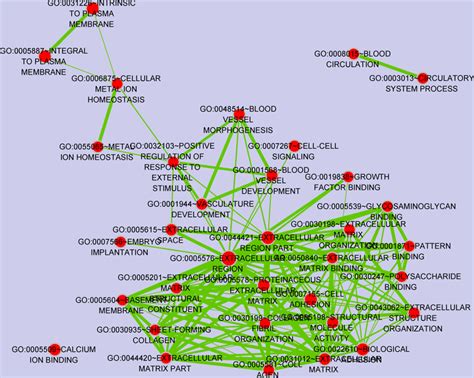 Go Terms Clustering Via The Enrichment Map Plugin Of Cytoscape Download Scientific Diagram