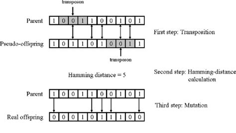 Figure 10 From A Jumping Gene Paradigm For Evolutionary Multiobjective Optimization Semantic