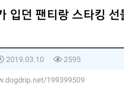 친구 누나한테 팬티 선물로 받은 썰 유머 게시판