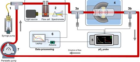 Photoacoustic Tomography System Download Scientific Diagram
