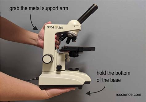 Parts Of Stereo Microscope Dissecting Microscope Labeled Diagram