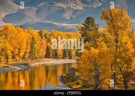 Usa Washington State Methow Valley Wildflowers Balsamroot And