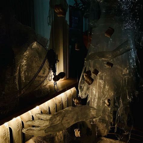 Some Phenomenal Shots From Laurel Flourish Festival