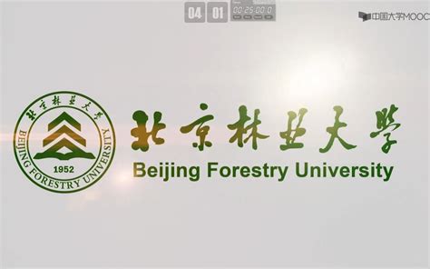 Web前端开发 孙俏、张吉、祖明、王建新、田萱、刘士营 北京林业大学哔哩哔哩bilibili