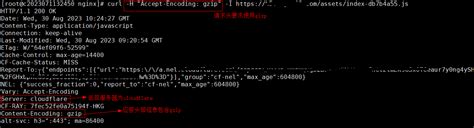 Nginx Gzip Solomon