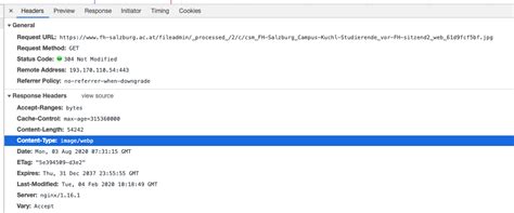 How Does It Work Issue 37 Plan2net Webp GitHub