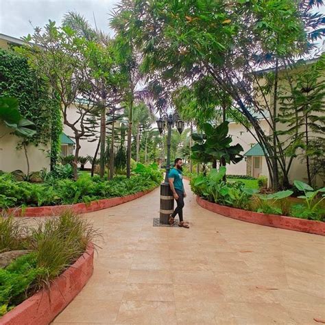 Islam Is The Only Way For Sucess In This Life And Hereafter Imaan