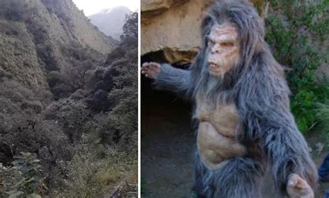 El Ucumar Apareció En Salta El Escalofriante Video Donde Se Escucharía