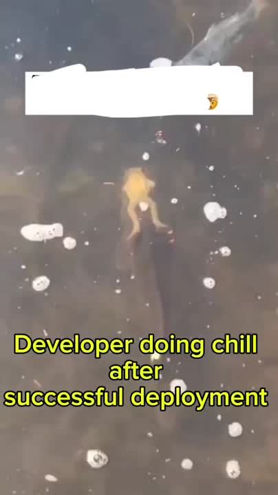 [video] ariful islam on linkedin programming coding meme program