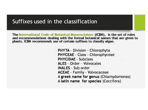 Solution 1 Algae Detailed Classification Studypool