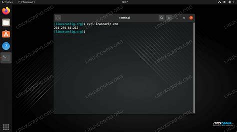 how to use curl to get public ip address