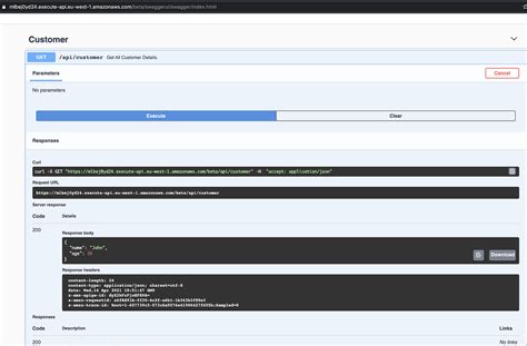 Access Swagger Ui In Aws Lambda Via Api Gateway — Deployed With The Serverless Framework By