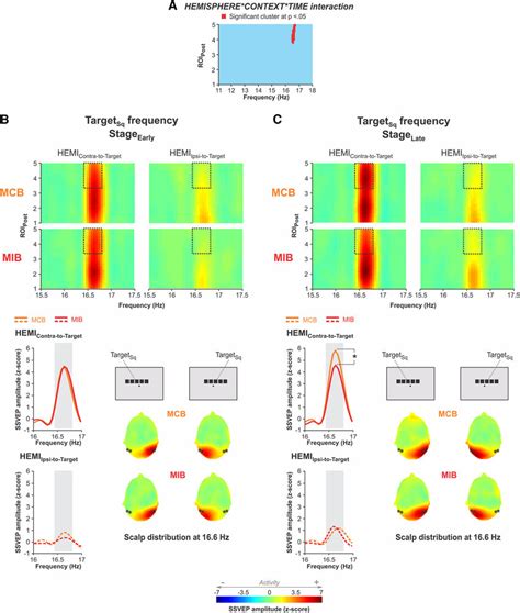 Effect Of The Hemisphere Context Time Interaction On Ssveps A The