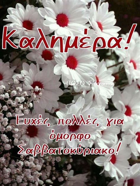 Pin By Liapi Evgenia On Καλημέρα Beautiful Rose Flowers Christmas Wreaths Rose Flower