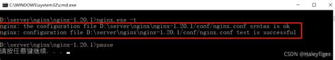 windows下使用批处理命令bat脚本检测nginx进程（管理nginx生命周期） haleytiger的技术博客 51cto博客