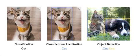 What Is Image Classification Basics You Need To Know SuperAnnotate