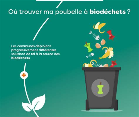 Comment Bien Trier Ses Biodéchets