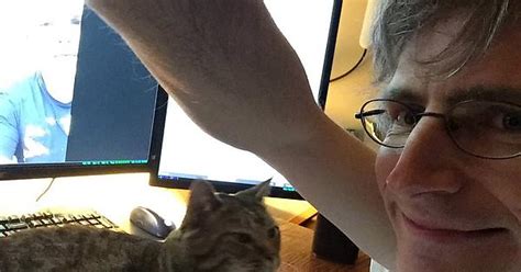 cat vs coder album on imgur