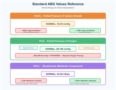 Abg Meaning Comprehensive Guide To Arterial Blood Gas Abgs For