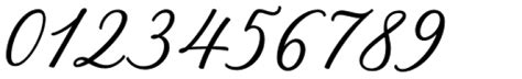 Palomino Clean Script Font Script Elegant What Font Is