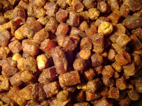 Пчелен прашец рецепти за лечение на различни болести които заменят половин аптечка