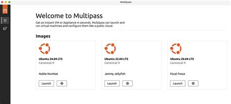 Multipass Arm Learning Paths