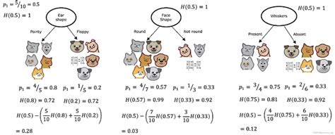 决策树decision Tree决策树图片 Csdn博客