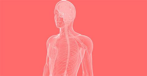 Aidlab Blog What You Could Learn From Your Body Within 15 Seconds