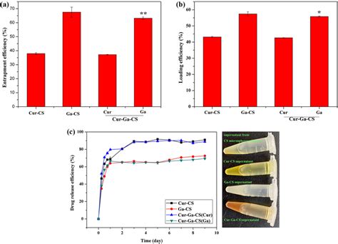 the efficiency of cs microspheres for loading of cur and or ga n 3