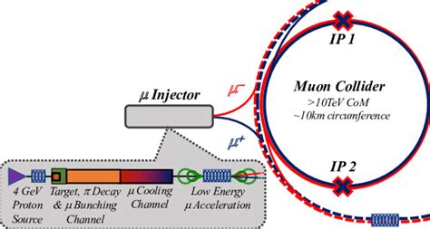A Conceptual Scheme Of The Muon Collider Download Scientific Diagram
