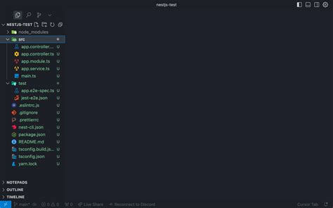 nestjs the modern node js framework