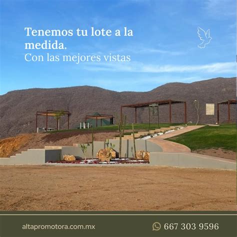 𝗟𝗮𝘀 𝗣𝗮𝗹𝗼𝗺𝗮𝘀 𝗖𝗮𝗺𝗽𝗲𝘀𝘁𝗿𝗲 𝗥𝗲𝘀𝗶𝗱𝗲𝗻𝗰𝗶𝗮𝗹 Laspalomascampestre • Instagram