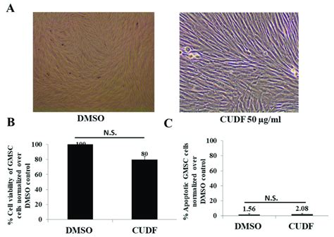 Effects Of Cudf Upon Gmscs In Terms Of Cell Viability And Apoptotic