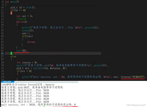 linux篇【6】：进程等待 wnohang csdn博客