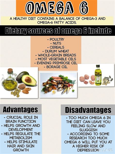 Omega 6 Nutrition Recipes Food Safety And Sanitation Food Science