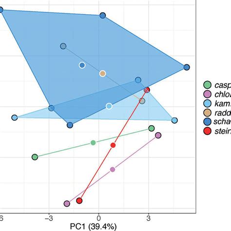 A Principal Component Analysis Of The Morphometric Data B Download Scientific Diagram