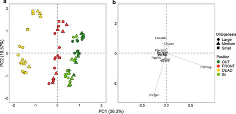 Principal Component Analysis Pca Loading Plots Of The 69 Sampling