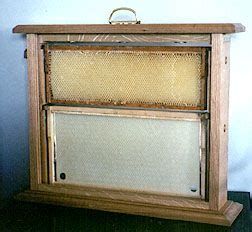 Beekeeping Tips And Tricks