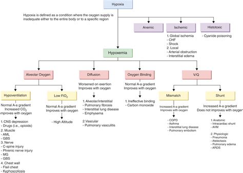 Hypoxia In A Patient With No Cardiac Or Pulmonary History Anesthesia Key