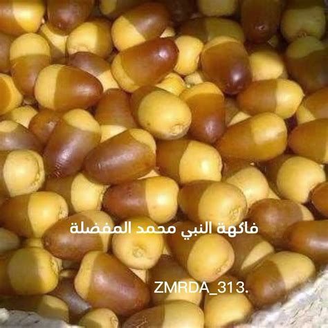 فشنو فاكهتك المفضلة؟💛 Zmrda313likeshorts Youtube