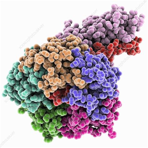 Cholera Toxin Molecule Stock Image C0148999 Science Photo Library