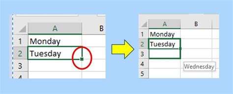 Sharon Daniel On Linkedin Excel Tip Save Time And Avoid Typing Using The Excel Fill Handle That