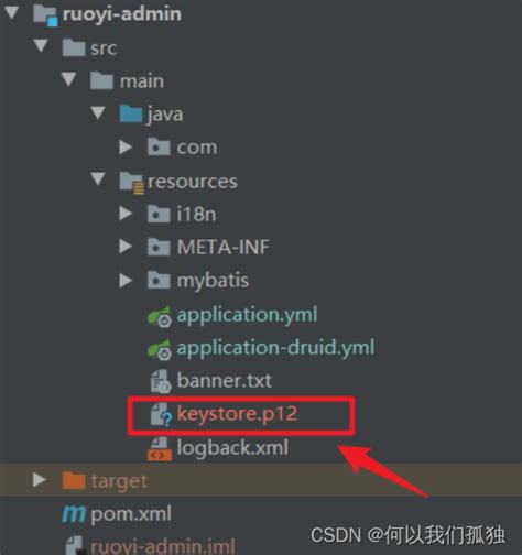 开发细节SpringBoot项目将接口从HTTP换为HTTPS CSDN博客