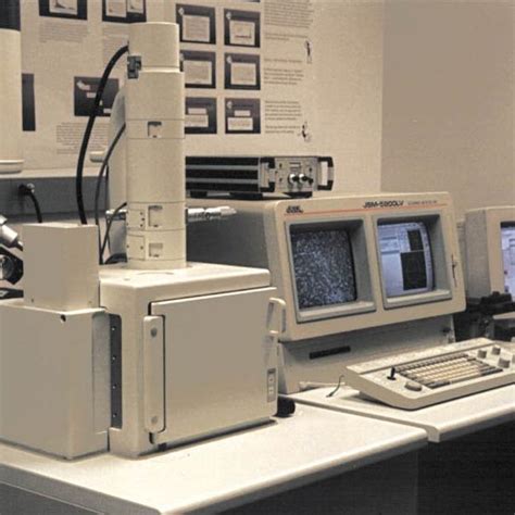 What Is Scanning Electron Microscopy At Joe Sears Blog