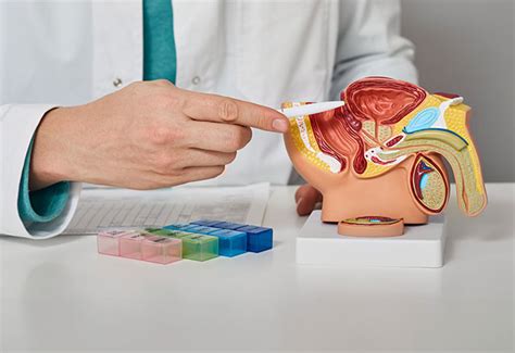 Care Of The Uncircumcised Penis In Teens Johns Hopkins Medicine