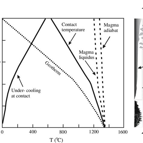 Triangular Classification Diagram For Peridotites Streckeisen 1979 Download Scientific
