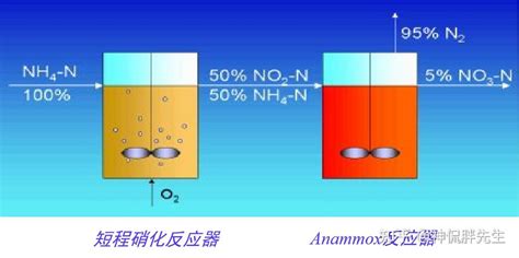 尴尬的厌氧氨氧化技术：为啥叫好却不叫座？ 知乎