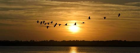 Mastering Website Migrations A Comprehensive Guide Nb Ecommerce And Design